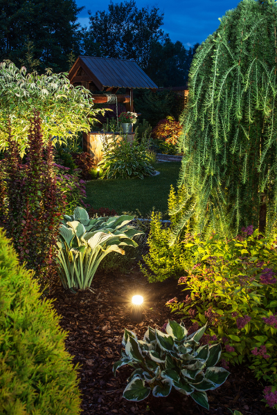 Nightscape Lighting - Uplight Pro Landscape Lighting